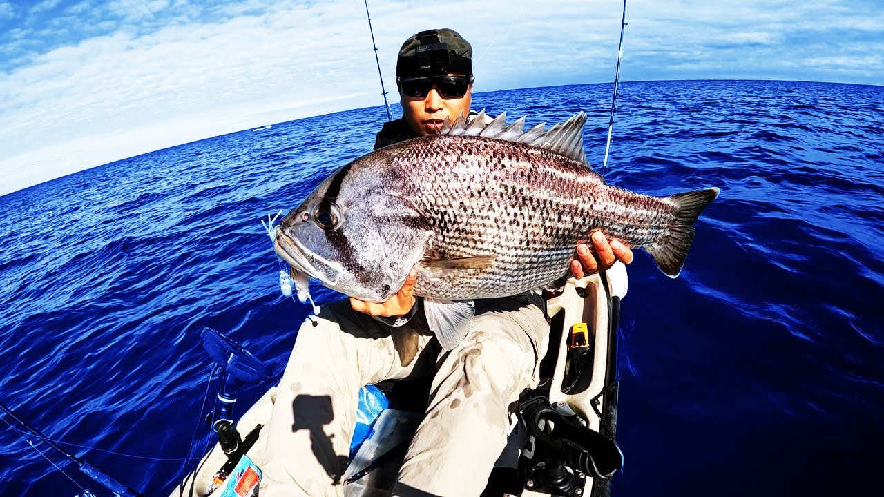 Dhufish in Shallow Water - Kayak Fishing Tips - YouTube