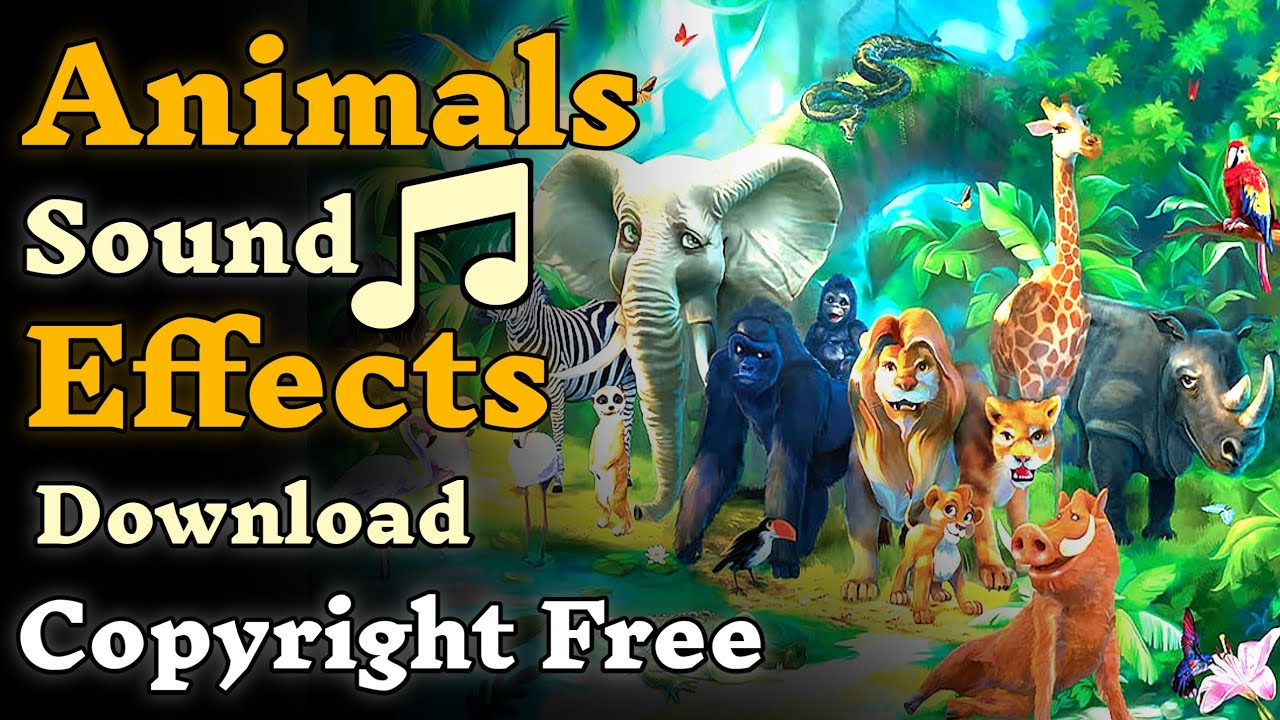 Animal Sounds Effect Download Copyright Free (cow, horse, lion,snake ...