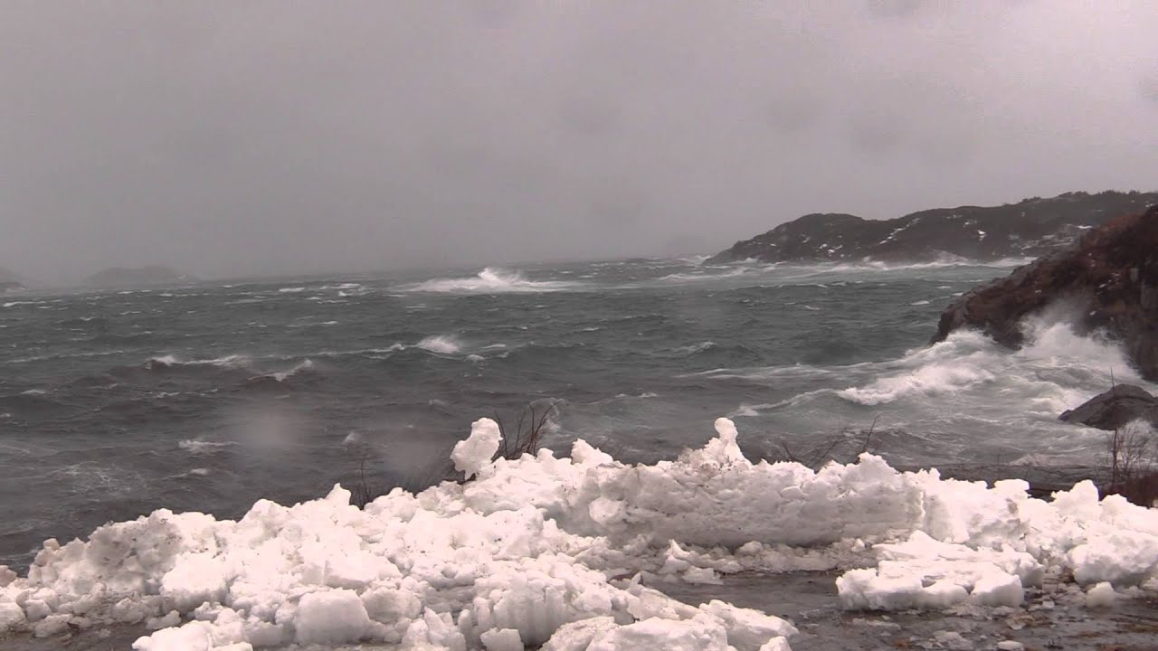 Spring Tide in Burgeo, NL, water come into car, and hits camera - YouTube