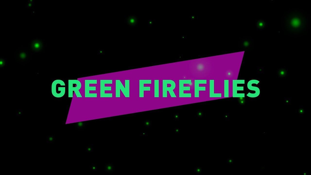 Fireflies Green Particles 4K Overlay Free Copyright - YouTube