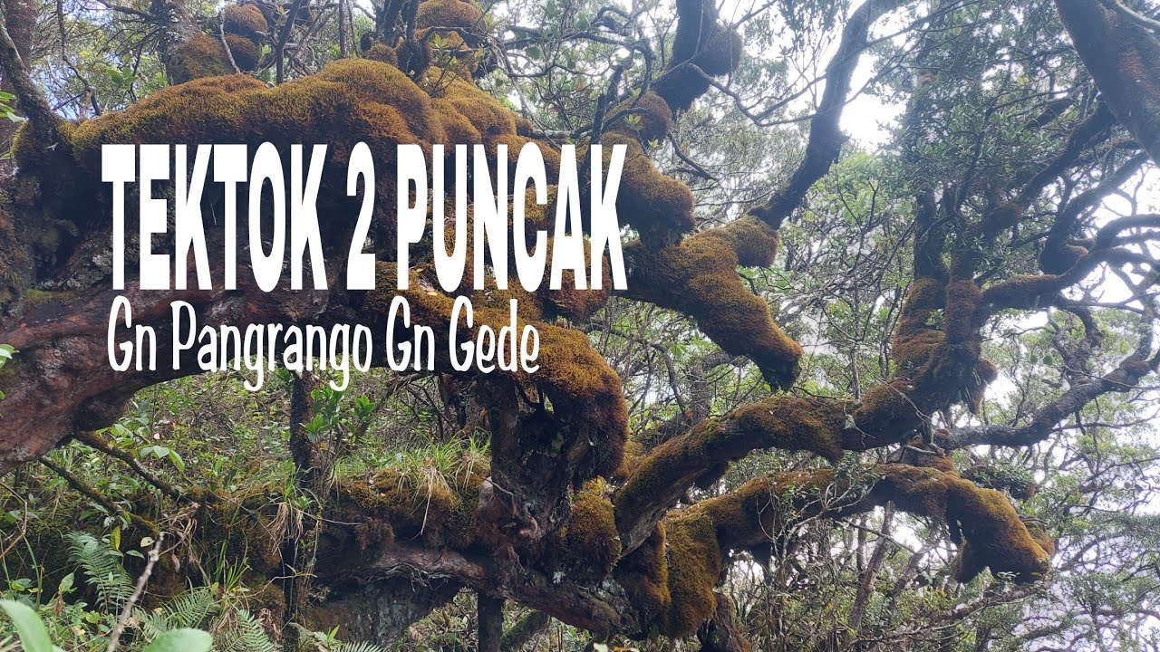 Tektok 2 Puncak. Gn Pangrango. Gn Gede. 2 Dec 2023 - YouTube