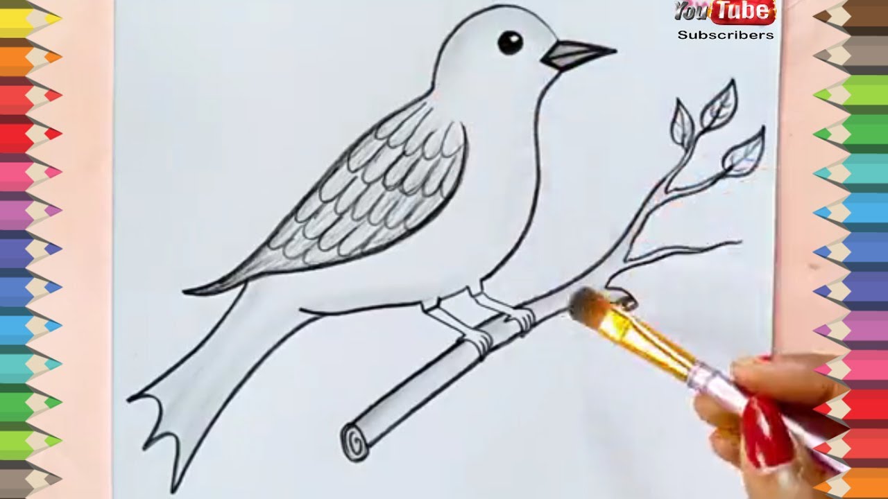BEST Bird Drawing You Will EVER See - YouTube