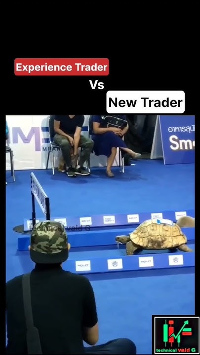 stock market new trader | share market news today | experience trader vs new trader | penny ...