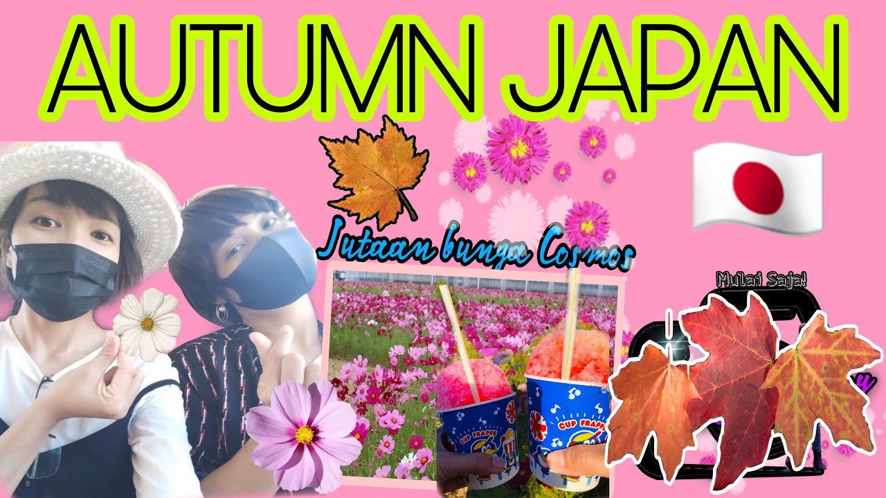 LADANG BUNGA DI JEPANG🌸🌸🌸 #japan #liburkerja - YouTube