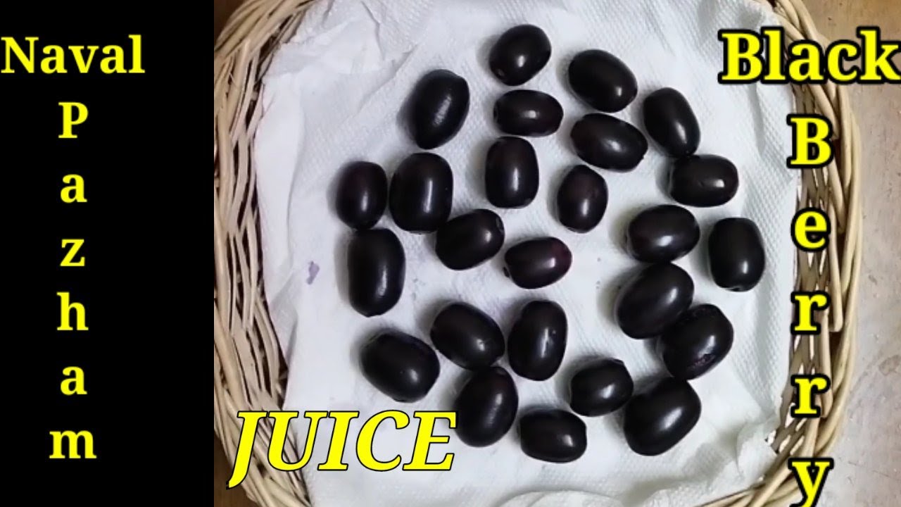 Naval Pazham (Indian - Blackberry) - YouTube