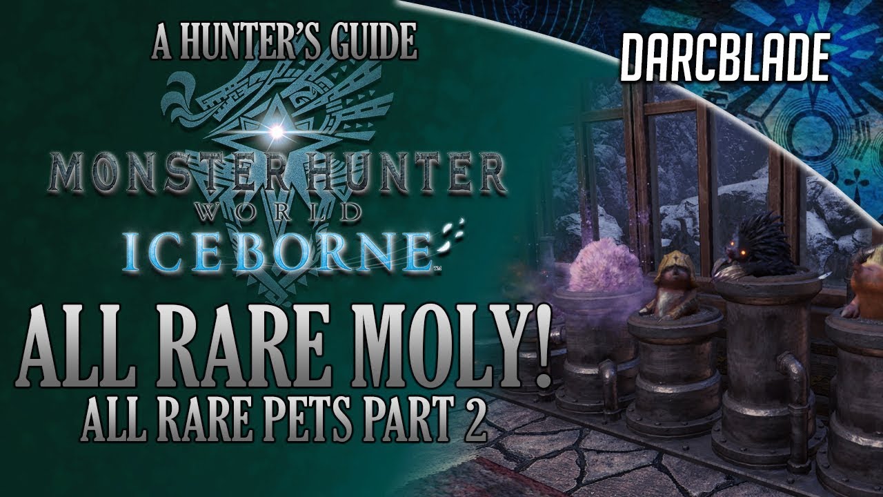 ALL RARE MOLY : MHW ICEBORNE : ALL RARE PETS PART 2 - YouTube