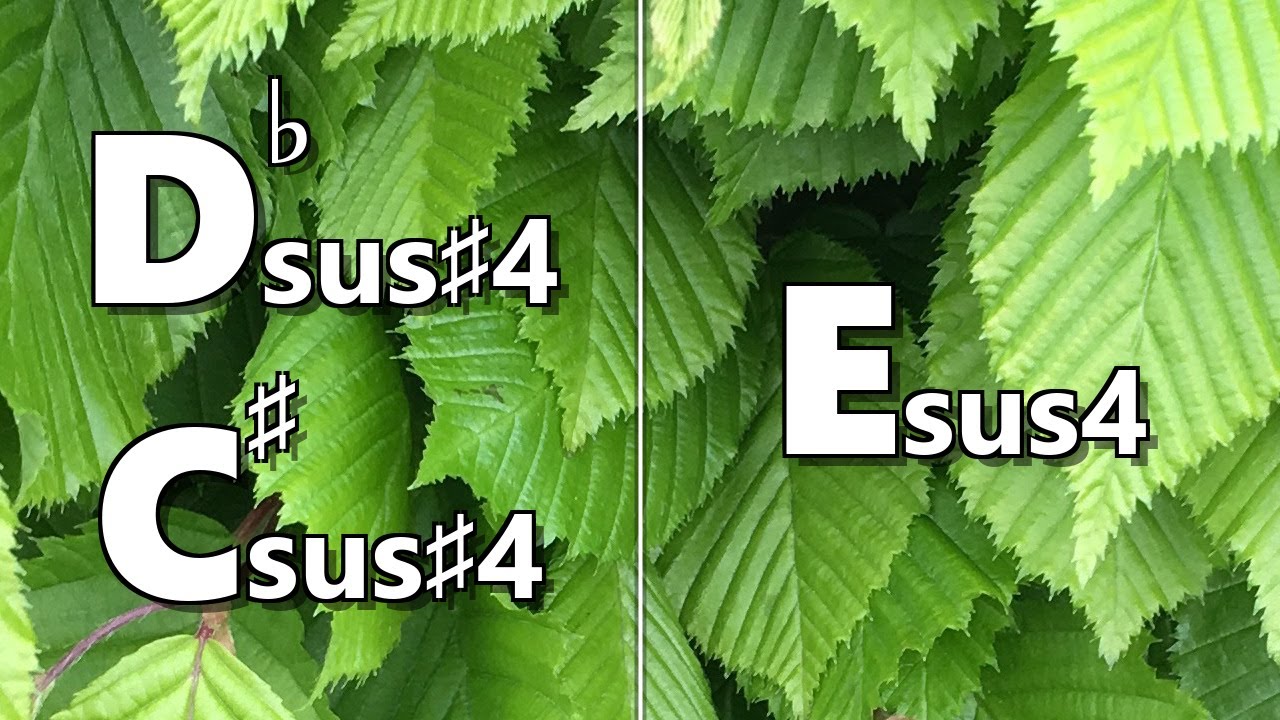 Dbsus #4 (C#sus #4) to Esus4 Backing Track - YouTube