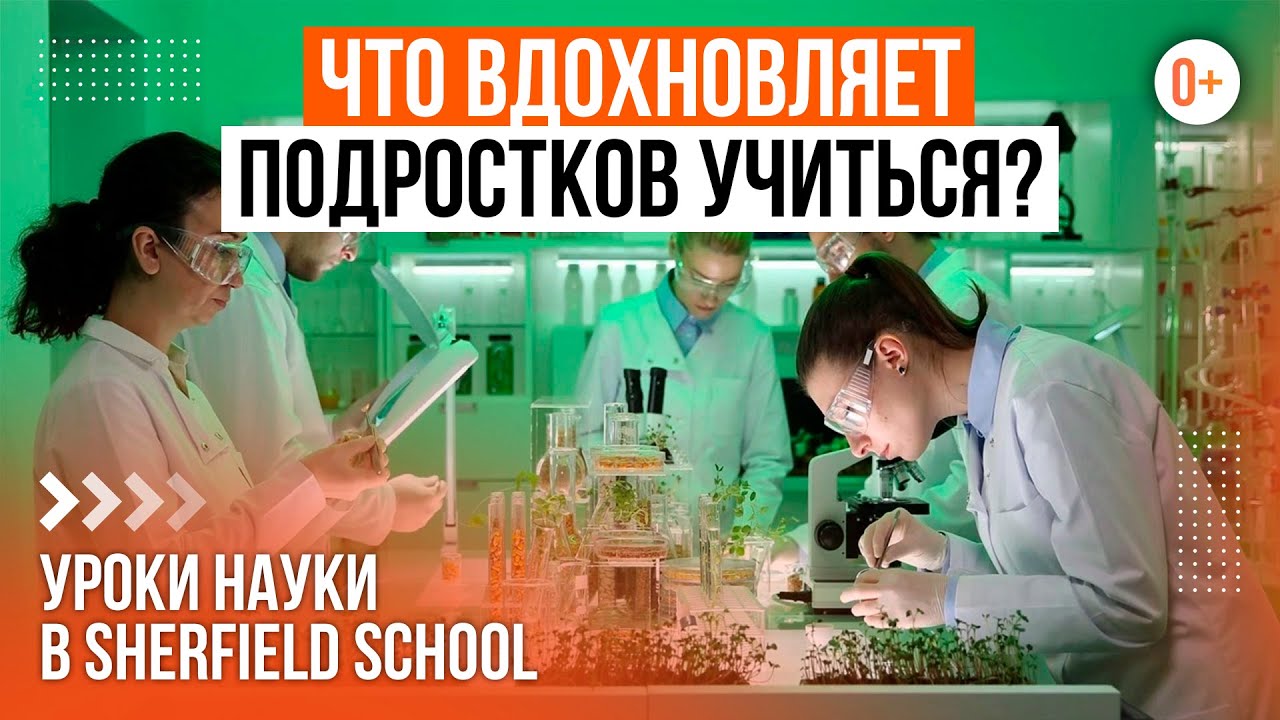 Знакомство с учителем биологии в британской школе Sherfield school ...