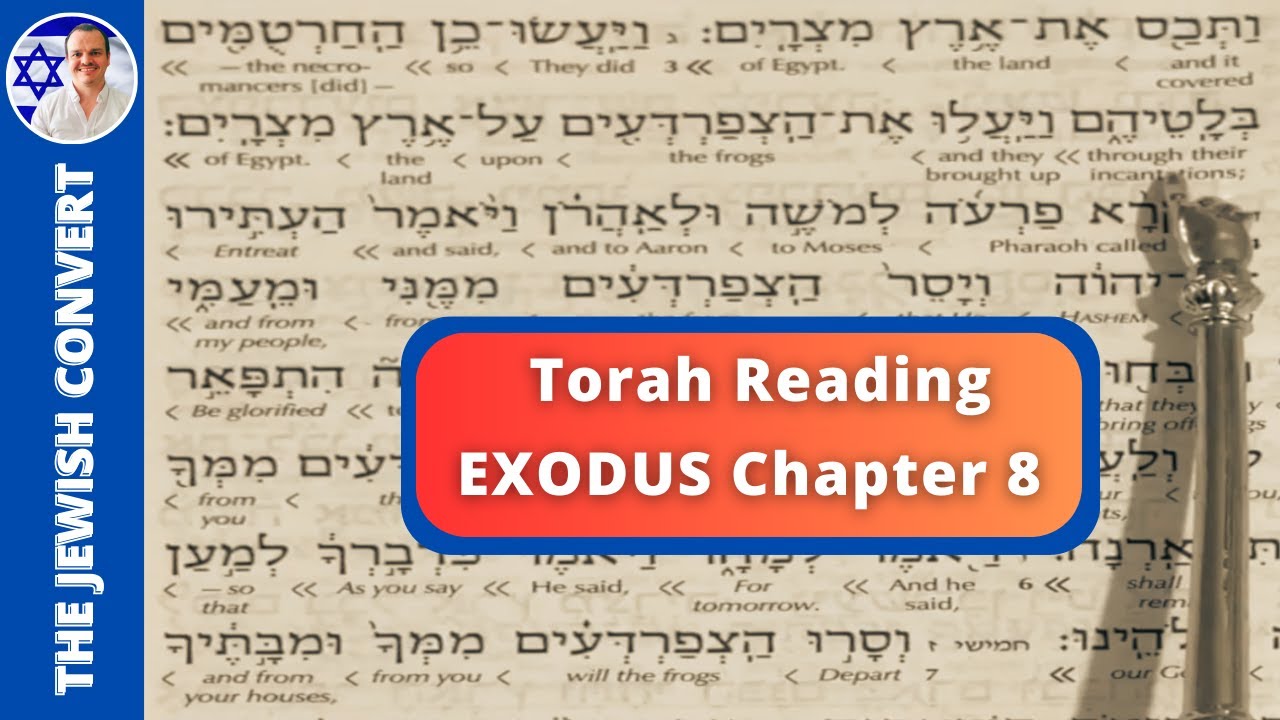 Exodus Chapter 8 | Torah Reading in Hebrew with English Translation ...