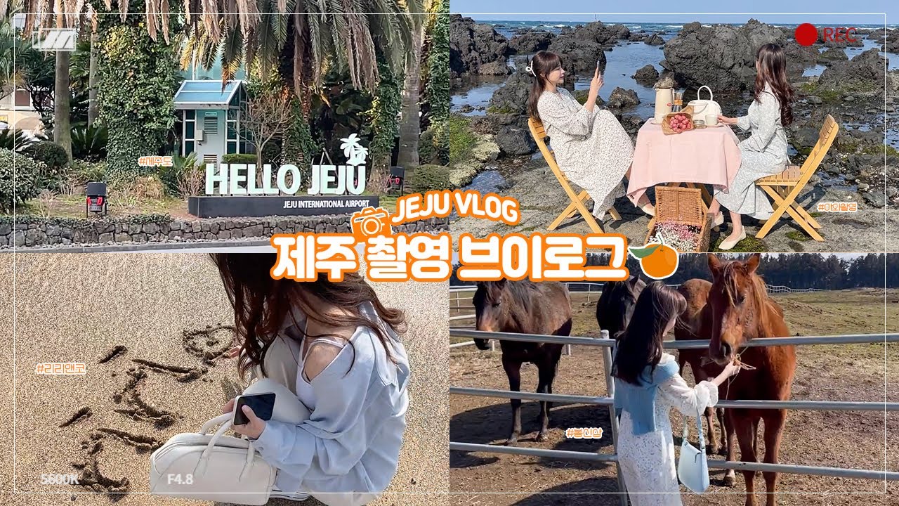 Vlog 제주도 여행 And 촬영 브이로그🍊ㅣ제주도ㅣ제주여행ㅣ봄제주ㅣ여행브이로그ㅣ제주핫플ㅣ제주맛집ㅣ제주카페ㅣ제주브이로그ㅣ데일리룩