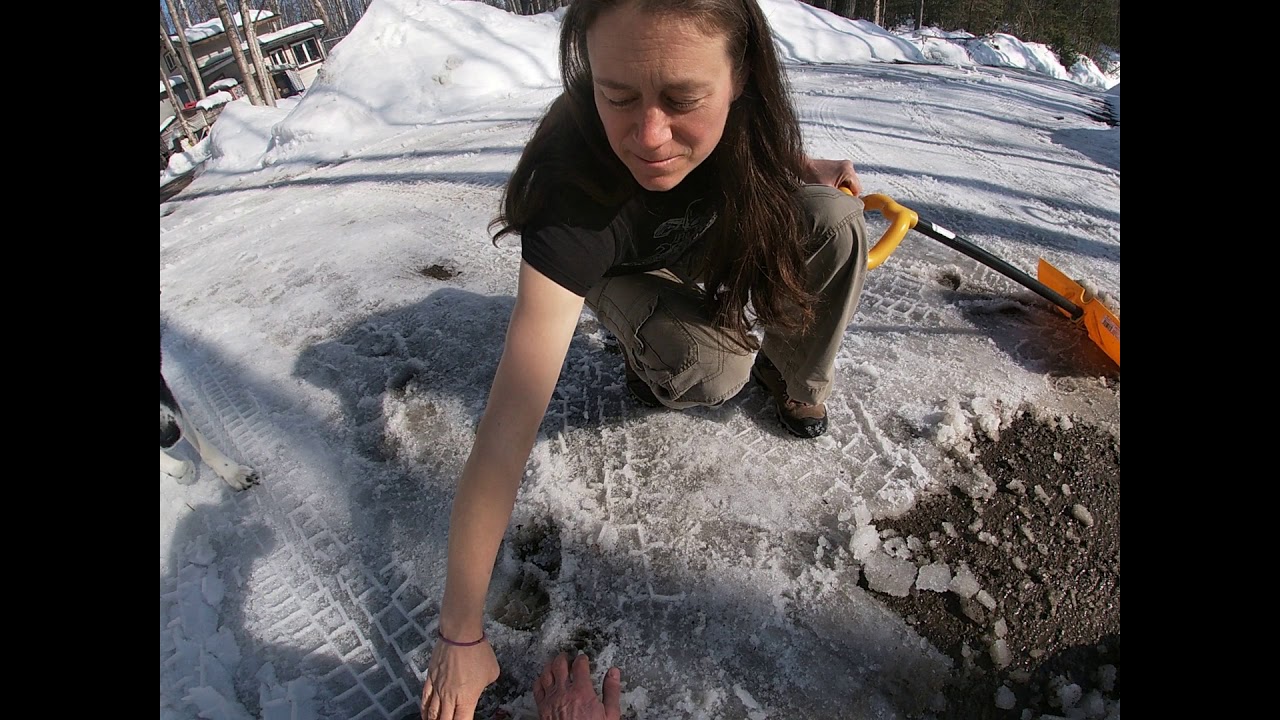 Chipping ice with Kara Mr. Darcy and Watson - YouTube