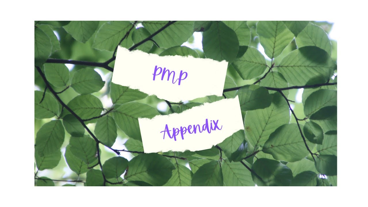 Rare and Important: PMP/Appendix Cancer - YouTube