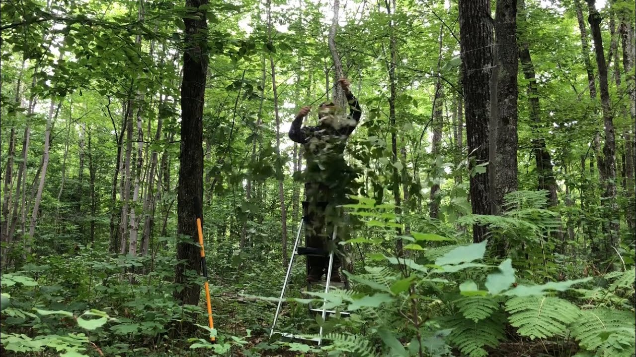 #29 Creating Large Mock Scrapes - YouTube