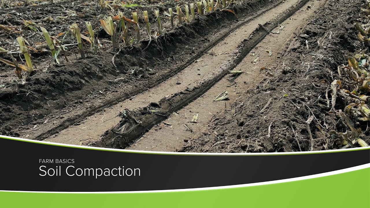 Soil Compaction - YouTube