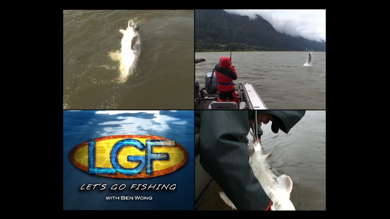 LGF 155 Pt. 1: Fishing Over-Sized Sturgeon! - YouTube