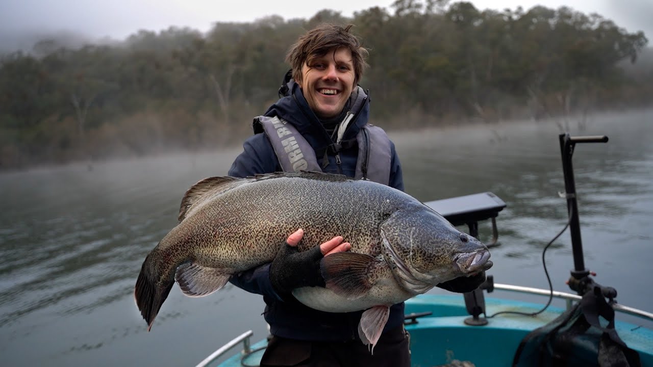 MASSIVE Lake Eildon Murray Cod - YouTube