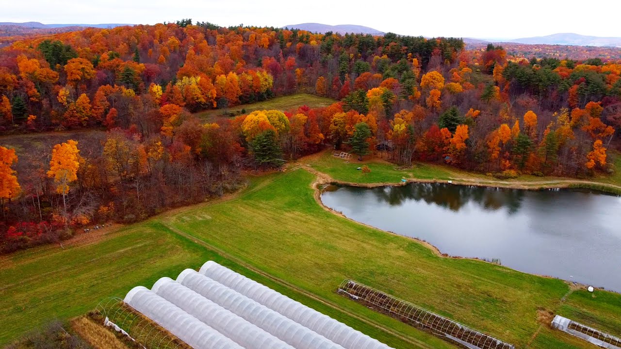 nepabirdseye- dymond farm 🚜 dallas pa - YouTube