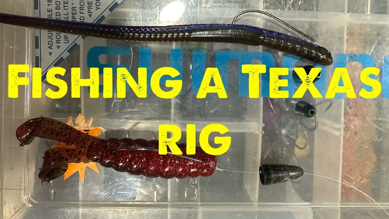 Fishing a Texas Rig-Beginning Bass Fishing - YouTube