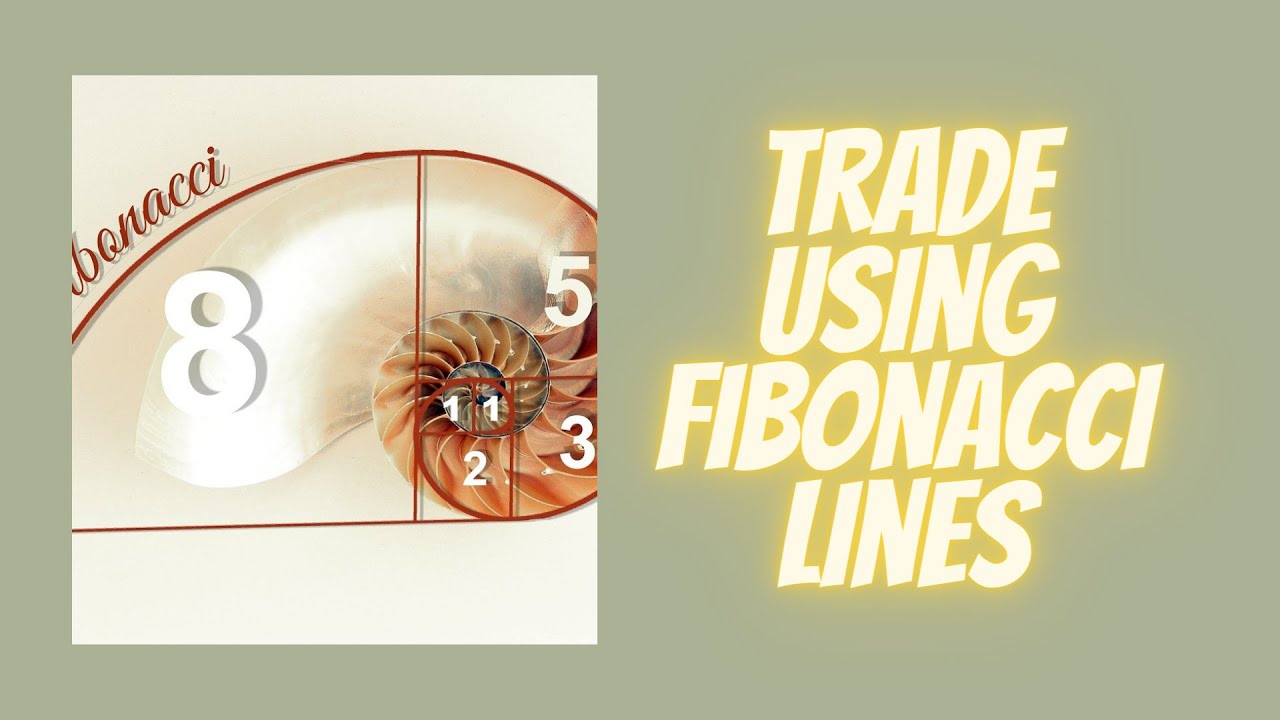 How to trade forex using Fibonacci lines - YouTube