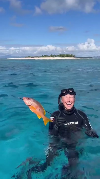 Fiji Freediving & Spearfishing Adventure - YouTube