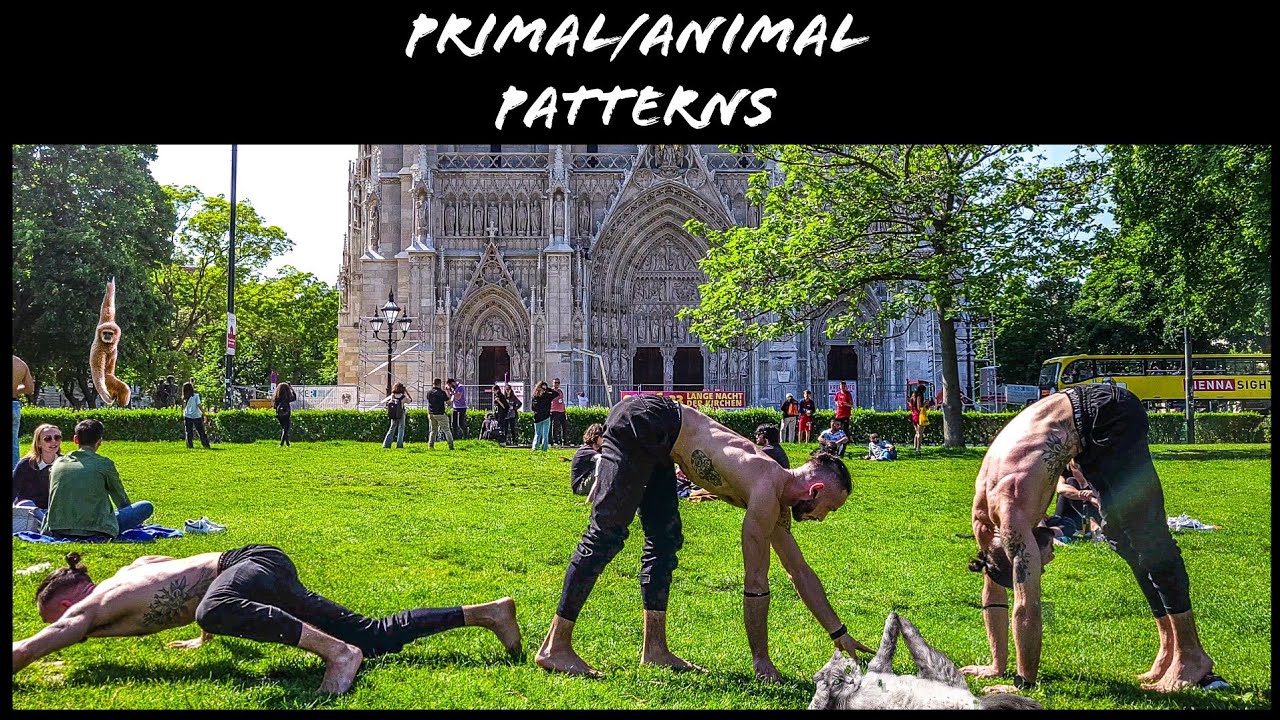 Primal Strength: Animal Movement Patterns Compilation - YouTube