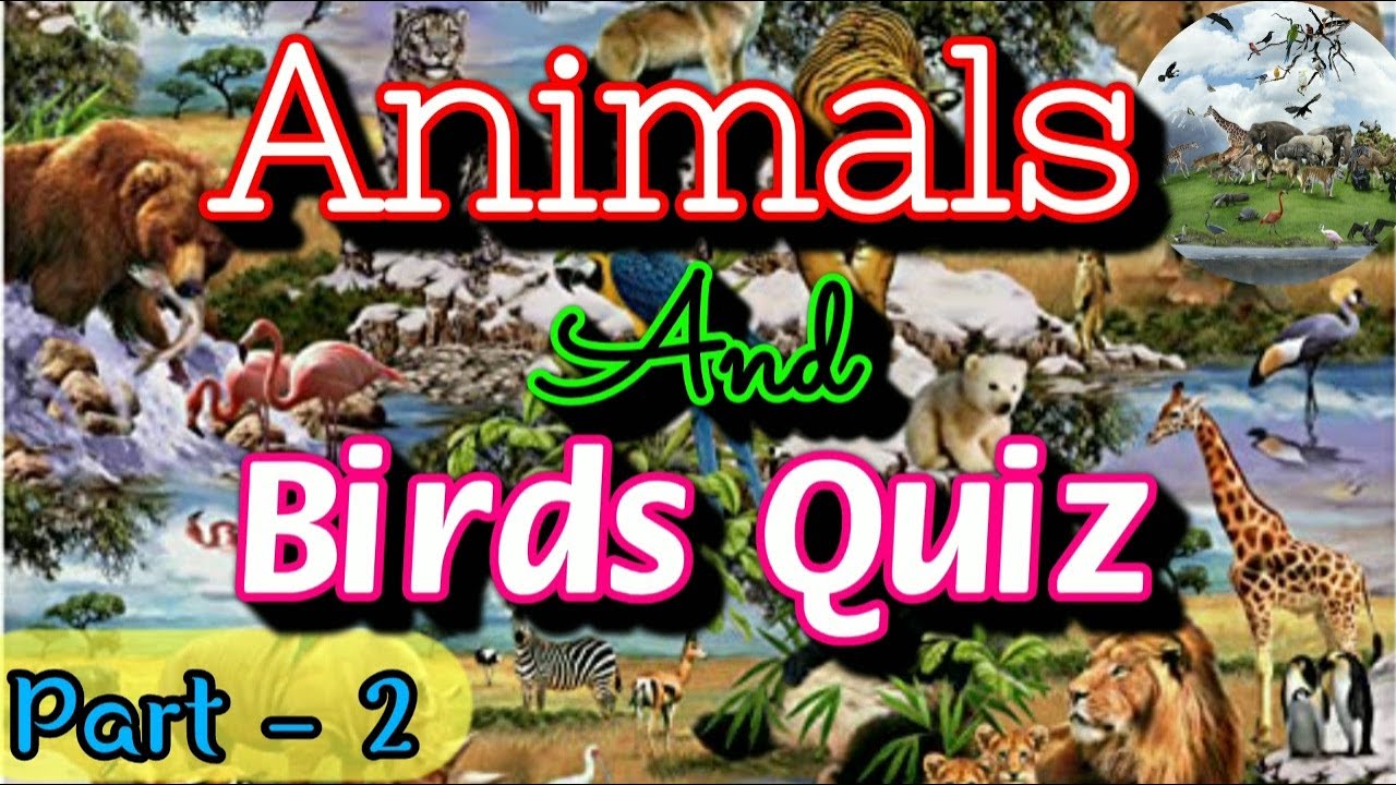 Animals and Birds Quiz | General Science | General Knowledge | World's ...