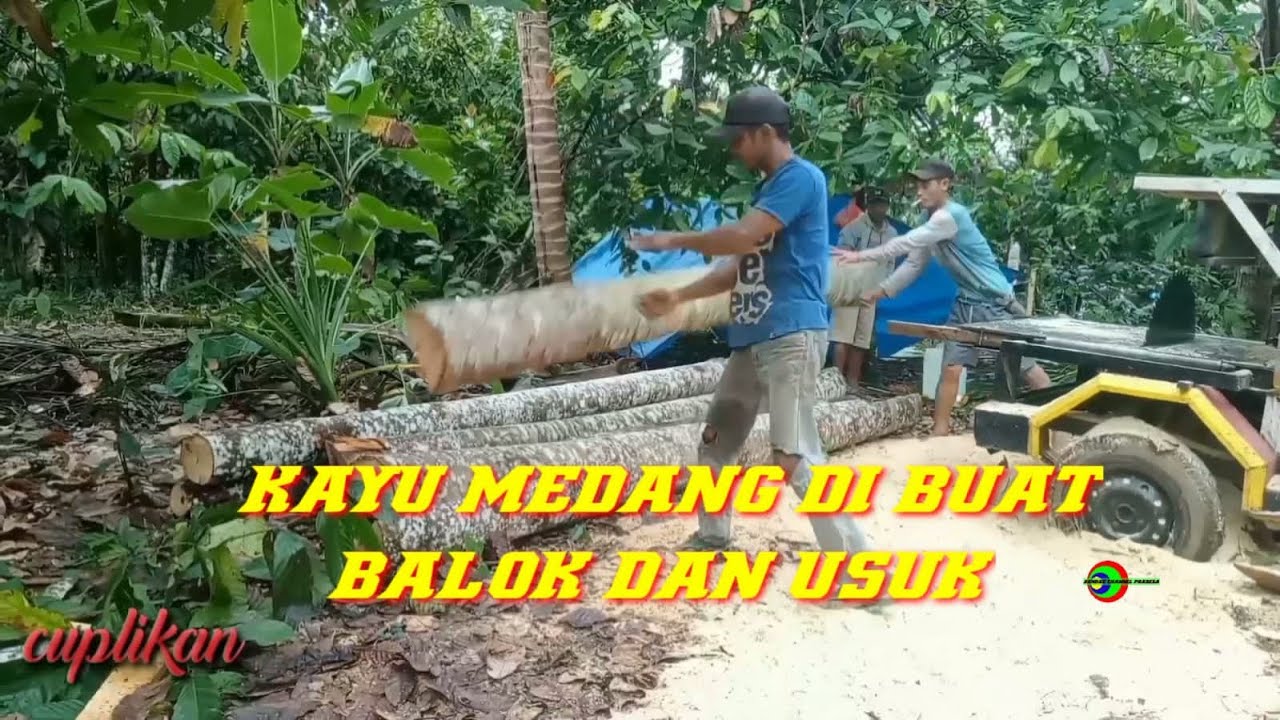 KAYU MEDANG DI BUAT BALOK DAN USUK - YouTube