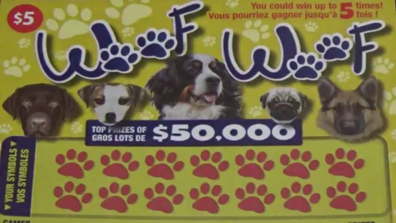 Scratch Ticket Sunday - Woof WOOF! Big WIN!? Or CLICKBAIT!? - YouTube