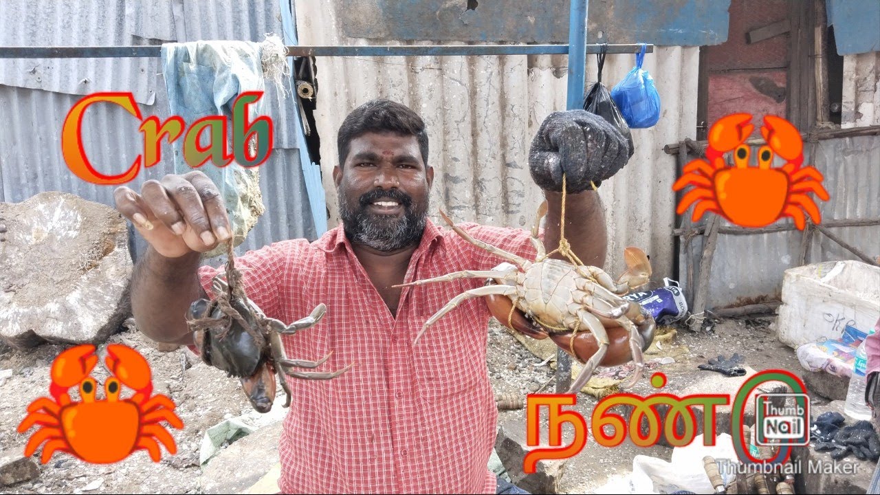 palavar kaattu nandu/vazha meen cutting video/fishcuttingrs #fish # ...