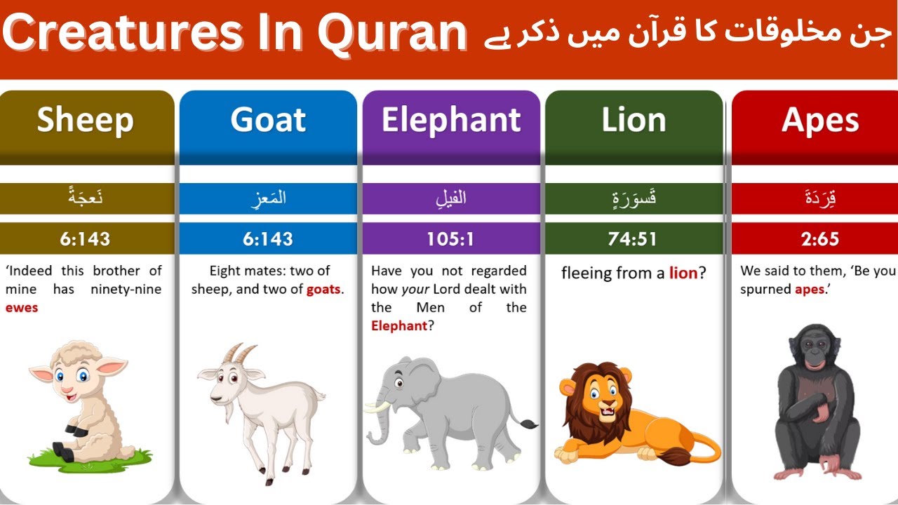 animals in quran || Exploring the Wonders of Islamic Zoology || - YouTube