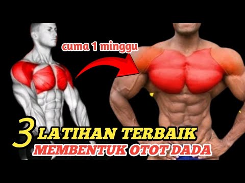CARA MEMBENTUK OTOT DADA BAGIAN ATAS DENGAN ALAT SEDERHANA || CHEST ...
