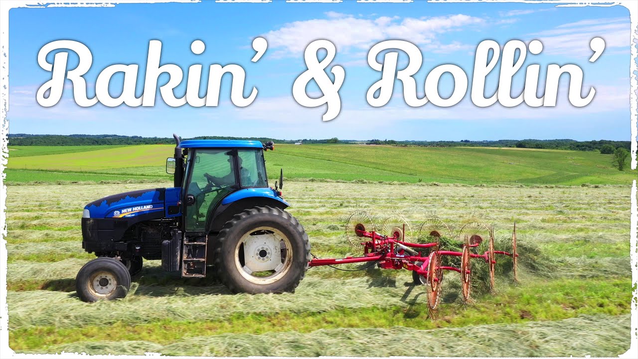 Raking Hay On An Organic Dairy Farm - First Cut 2020 With New Holland ...