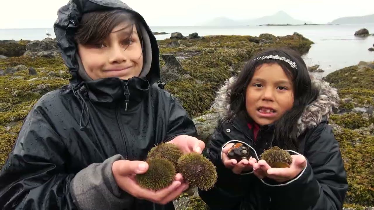 Harvesting Bidarki in Atka & Sand Point - YouTube