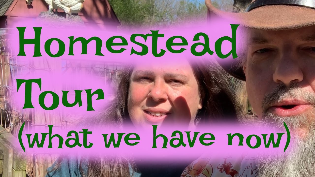 Homestead tour of our current setup before we start to make the move to ...