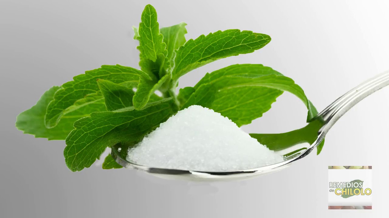Para Que Sirve La Stevia - Usos, Beneficios Y Propiedades De La Stevia ...