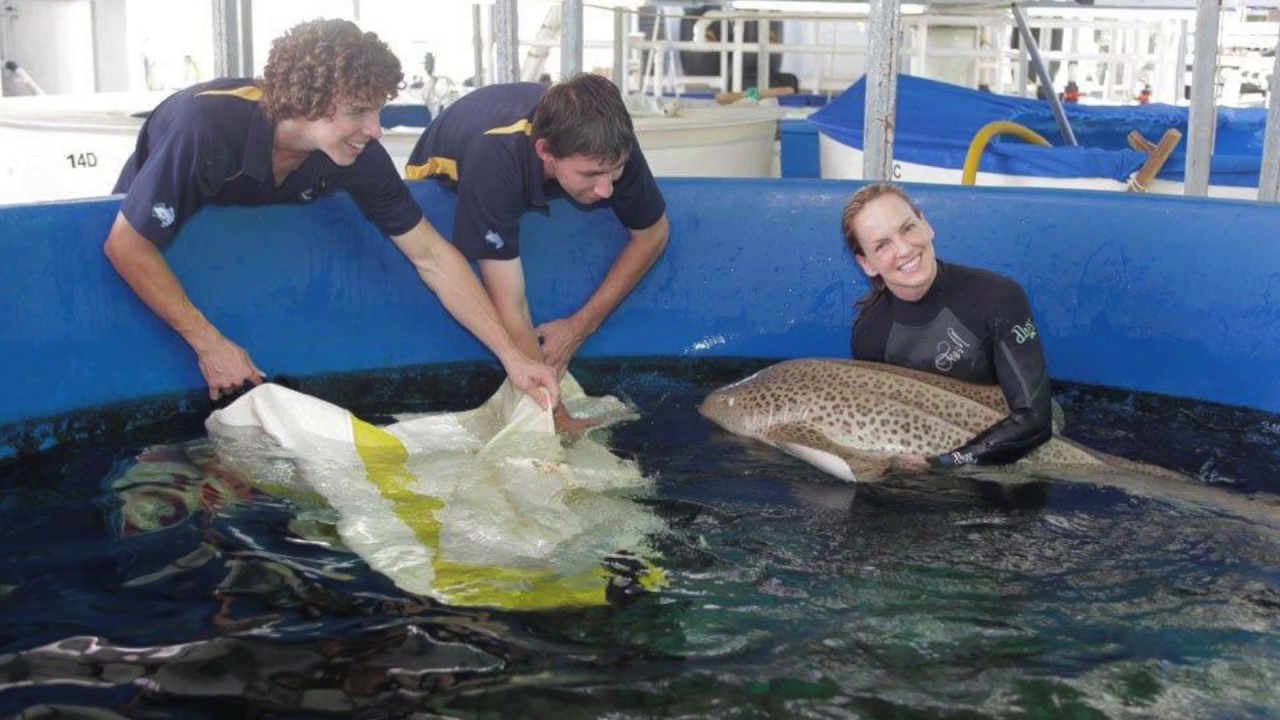 Bumping Up the Mr. Saltwater Tank VIP Fiji Trip Up a Bunch of Notches ...