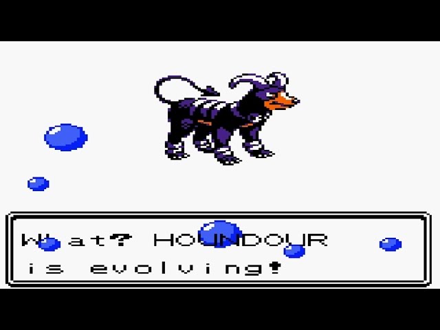 Shiny Houndoom Sprite