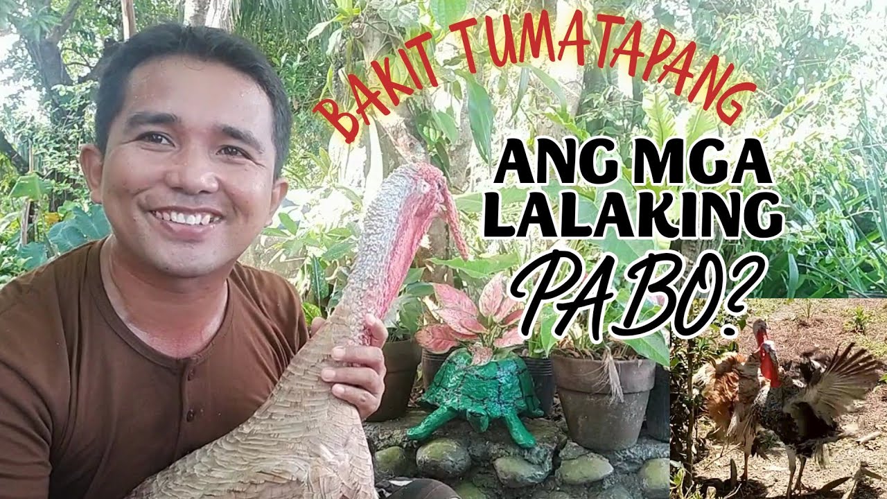 5 DAHILAN BAKIT TUMATAPANG ANG MGA LALAKING PABO? - YouTube