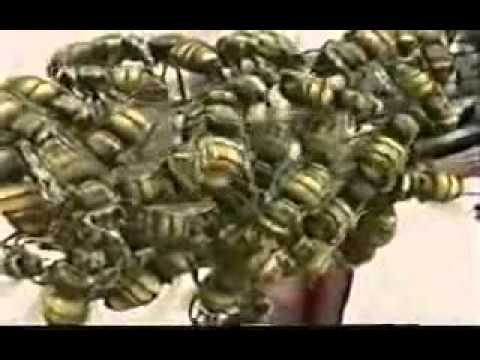 5/2/2002 CBS/WFOR commercials (part 1/4) - YouTube