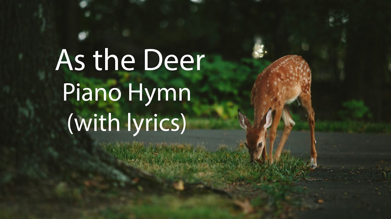 As the Deer -- piano instrumental hymn with lyrics - YouTube