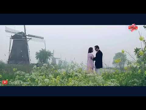 Sarki wo serse wo salman khan whatsapp  status  vedio