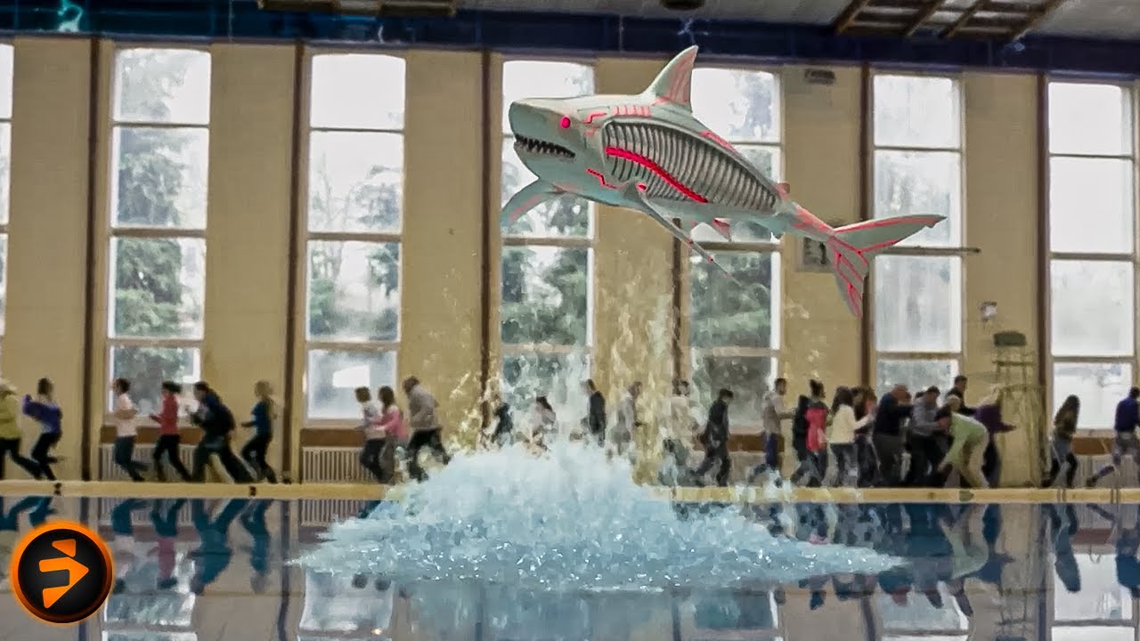 Shark Attacks a Swimming Pool | ROBOSHARK - YouTube