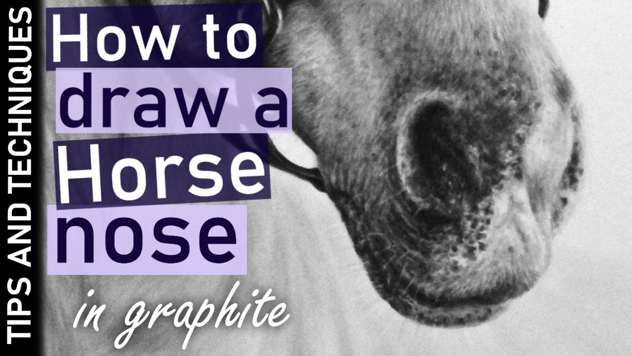 How to draw a horse nose/muzzle in graphite | Realistic horse drawing ...