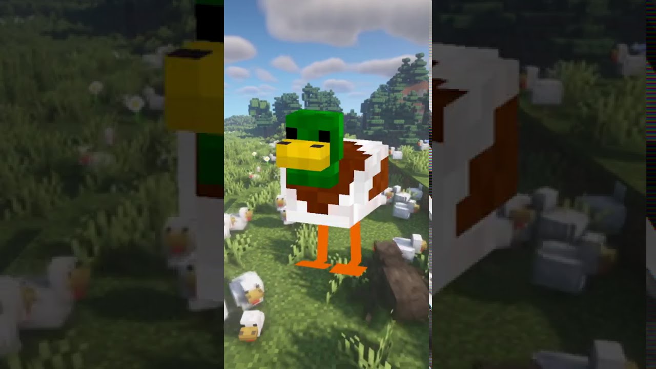 Cosas que no sabías de la Gallina - Minecraft - YouTube