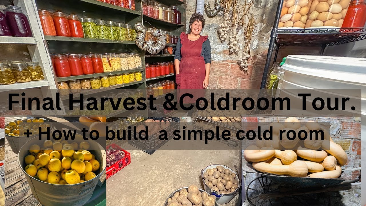 Cold Room Tour, How to Build Your Cold-room, Why we DON’t have a FREEZE ...