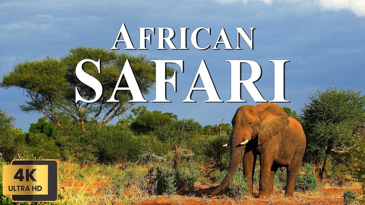 African Safari 4K • Wildlife Relaxation Film with Peaceful Relaxing ...