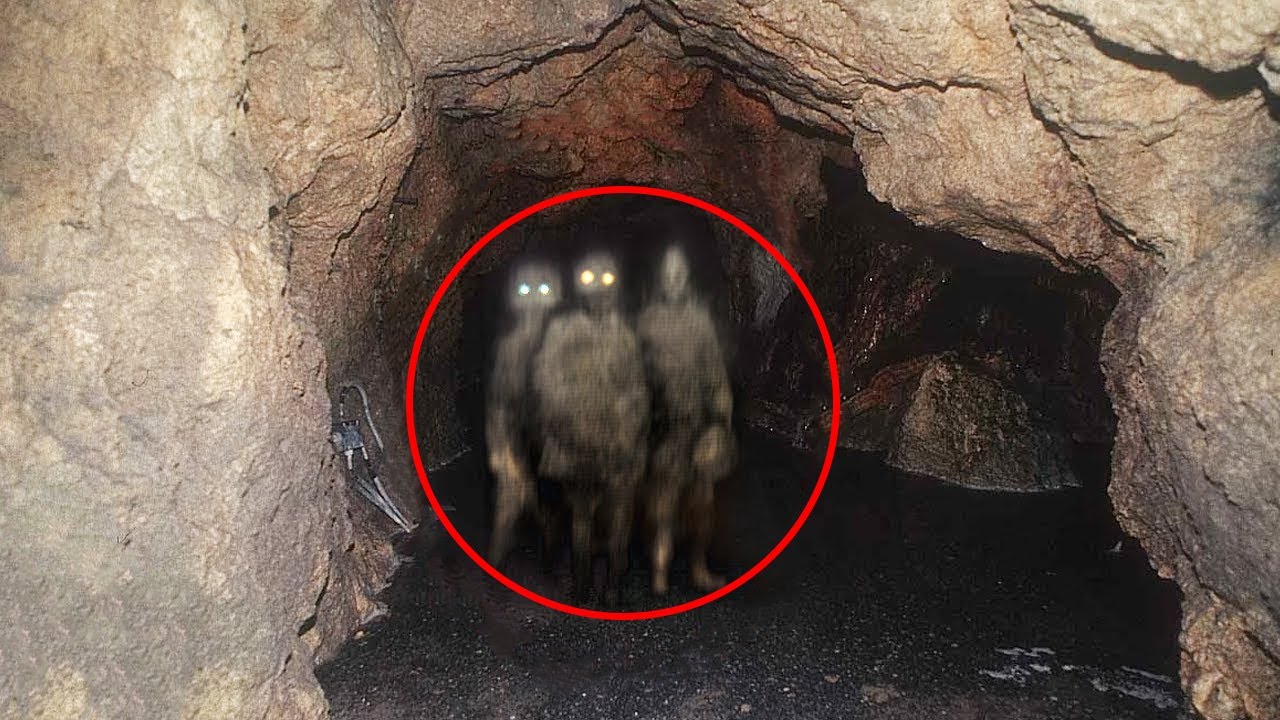 For 5,5 Million Years These Strange Creatures Have Been Living In Earth ...