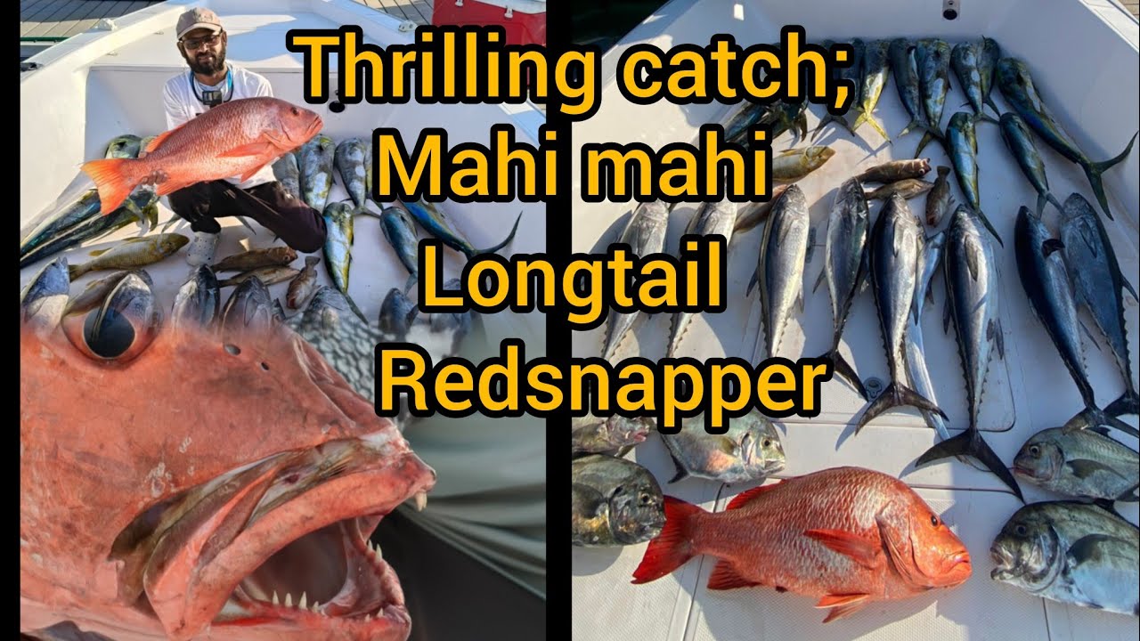 Epic Day on the water: Catching Red snapper,Longtail,& Mahi Mahi🐬 - YouTube