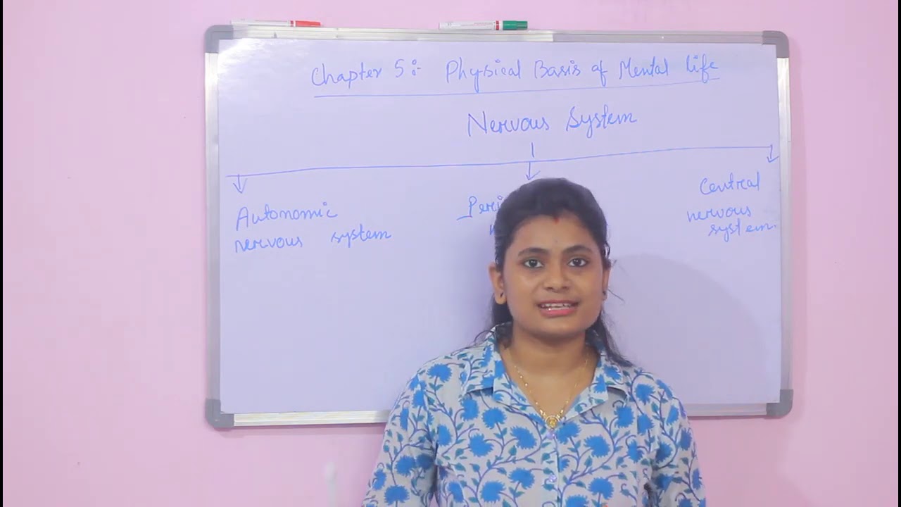 Chapter 5: physical basis of mental life - YouTube