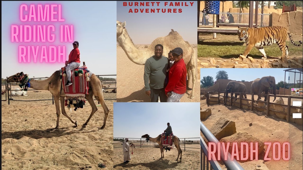 EPISODE 5: CAMEL RIDING IN RIYADH AND THE RIYADH ZOO! - YouTube